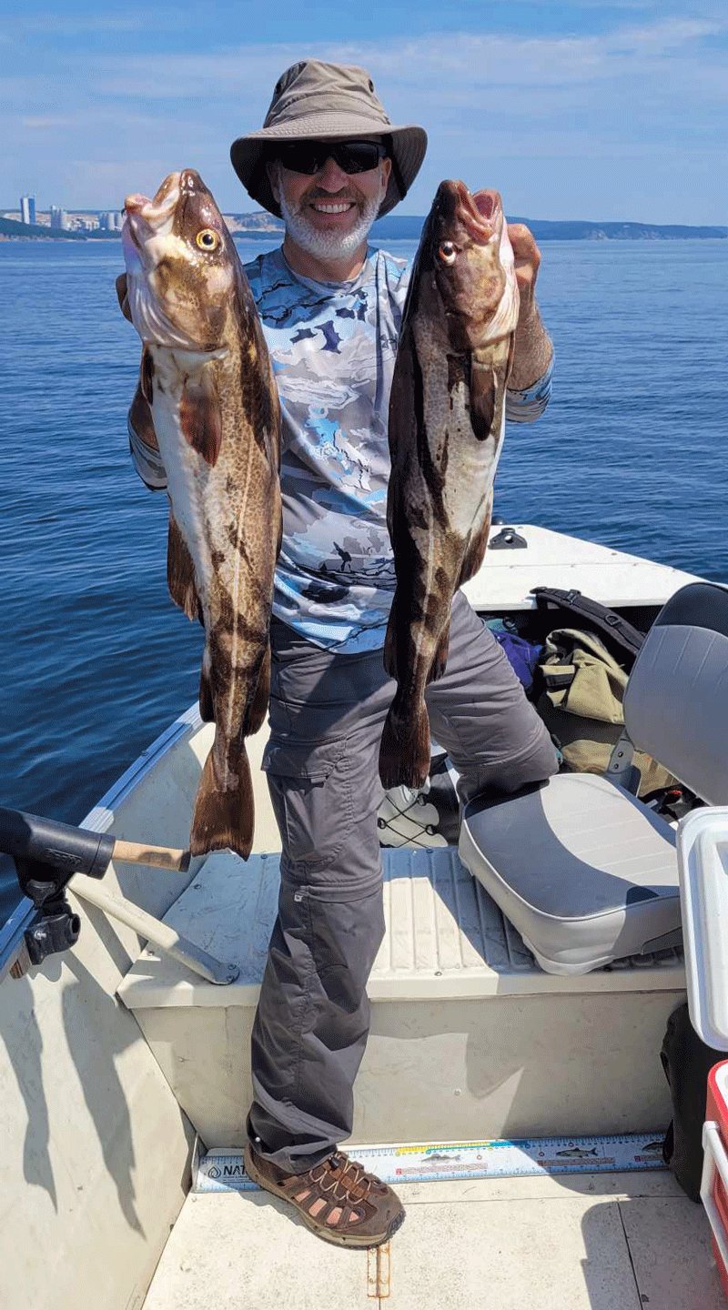 MORUE : une espèce oubliée - Magazine 100% CHASSE PÊCHE